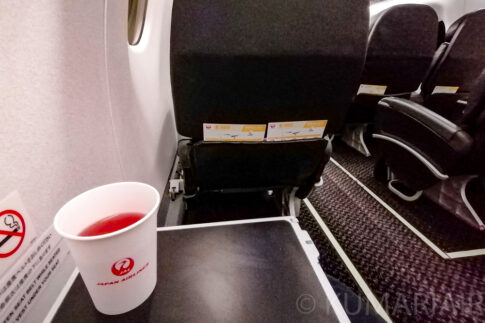 ジェイエア(JAL)エンブラエル190(E90)おすすめの座席！勝ち席はここだ！ | シテイリョウコウ